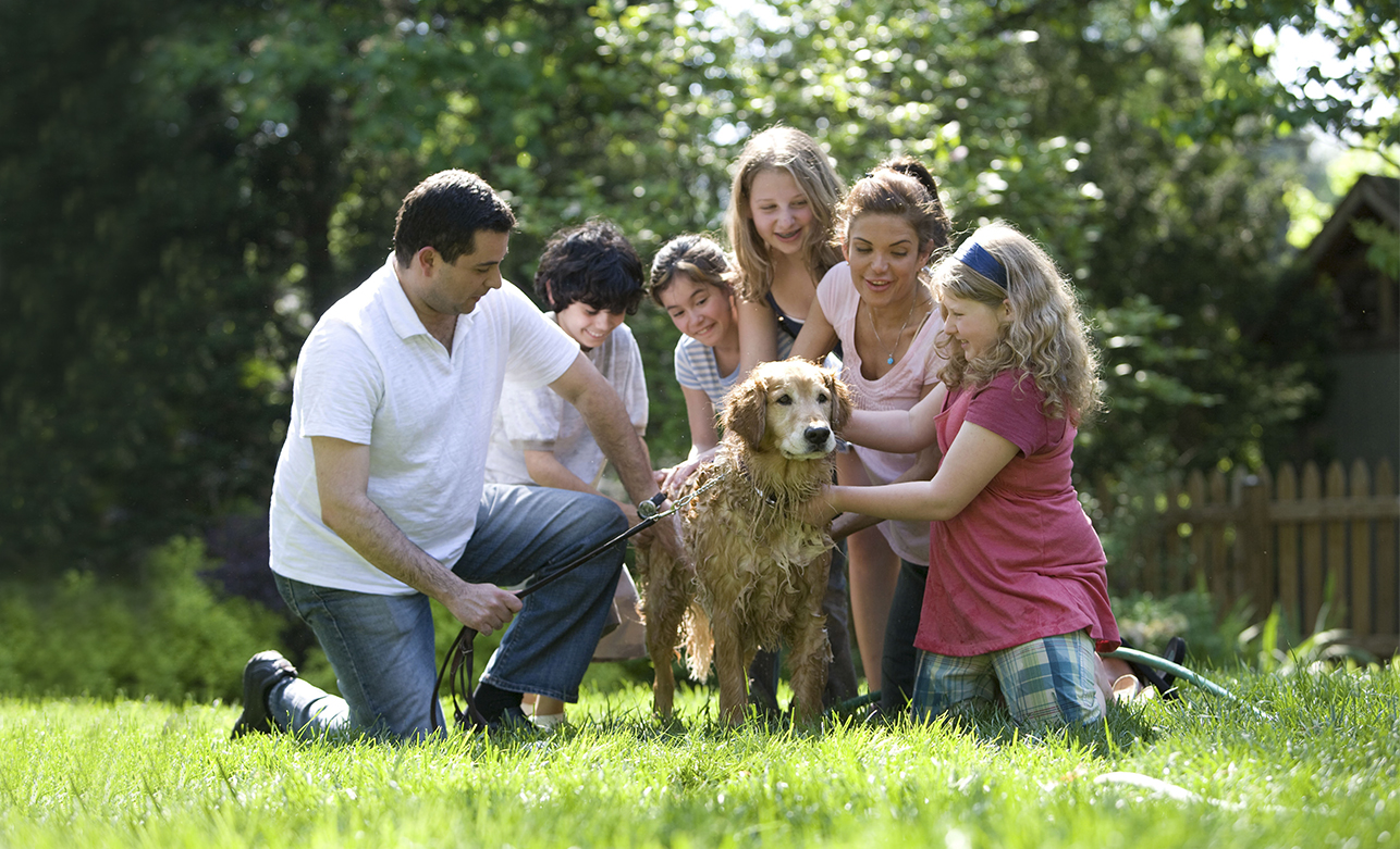 Communications Services for Home - iLink Technologies